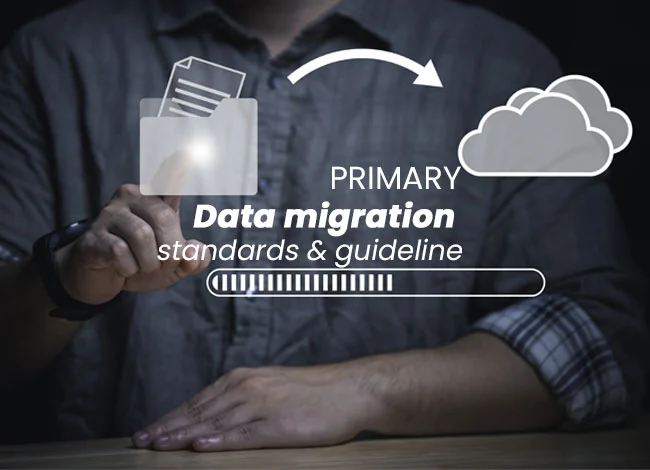 Essential Data Migration Standards & Guidelines